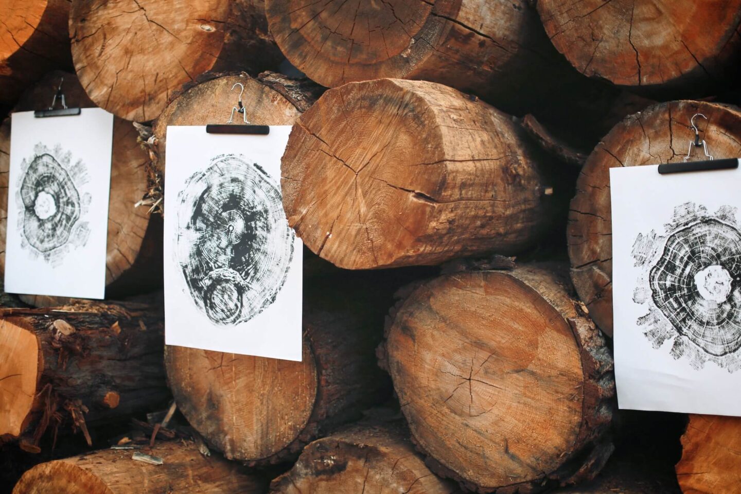 Ink Wood and Fire – Hume Lake Cabin Services